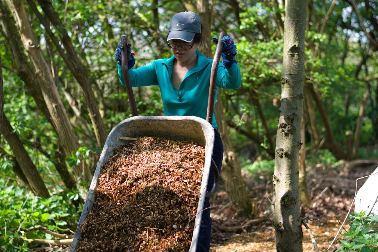 Our work - Habitats & Heritage