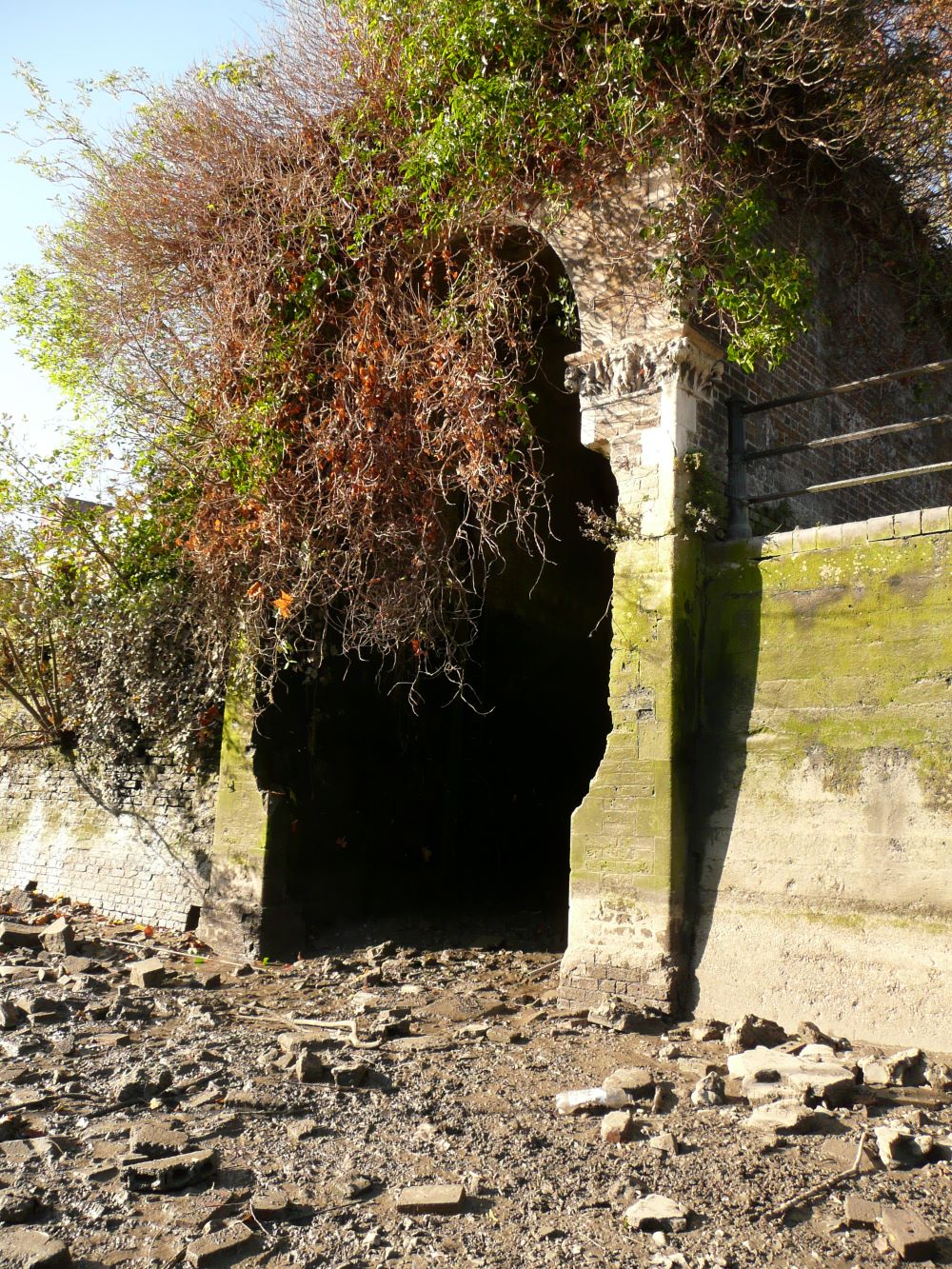 Thames Eyot Boathouse - Habitats & Heritage
