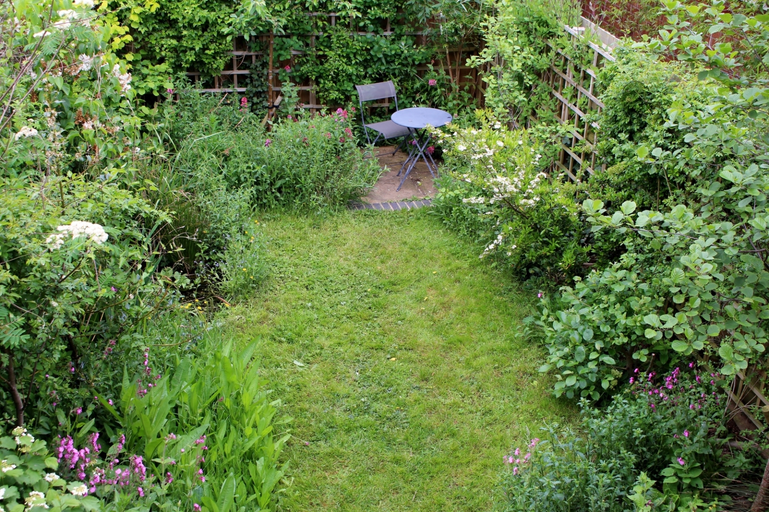 Citizen Science: Garden Survey - Habitats & Heritage