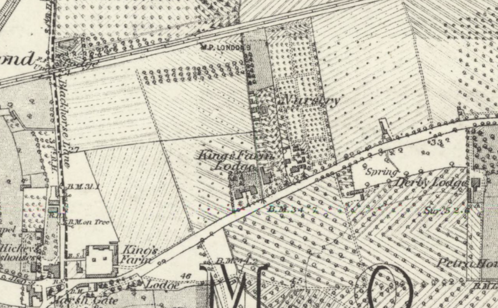 The King's Farm - Habitats & Heritage